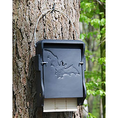 Buy Schwegler 1FD Bat Box From Garden Gift Shop