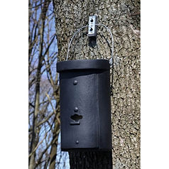 Bat Boxes | Bat Houses - Great Roosting Sites for Conservation