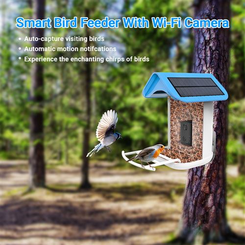 Callow Smart Bird Feeder with Wireless Wi-Fi Camera, Solar power and AI ...