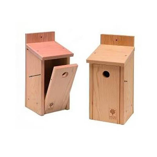 Buy Solid Cedar Modern Bird Box from Garden Gift Shop