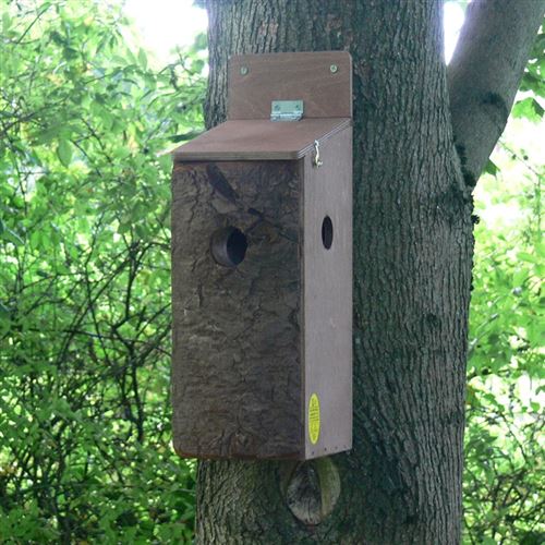Red Squirrel Nest Box with Multiple Entrances