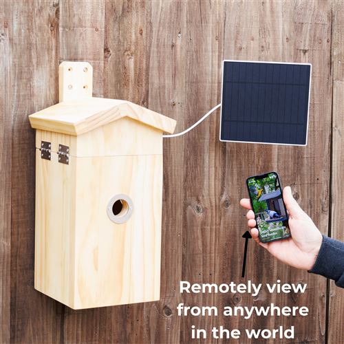 Wireless Solar Powered Smart Bird Box Camera with AI Bird Recognition ...
